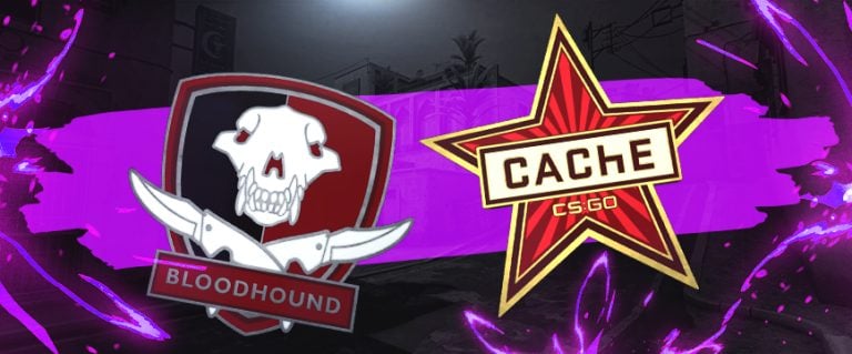 CS2 (CS:GO) Pins: Full Guide to All Counter-Strike In-Game Pins