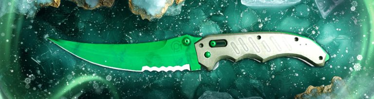 Top Flip Knife Skins in CS2 for 2024