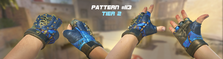 Hydra Gloves Case Hardened Blue Gem Patterns