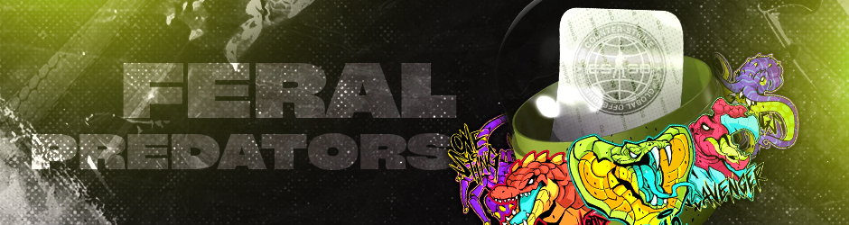 Top CS2 Sticker Capsules: Best Picks for ROI, Trading & Skins