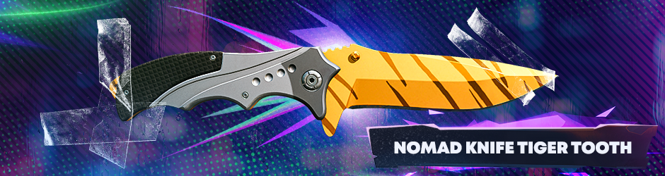 Top 10 Nomad Knife Skins in CS2 – Best Designs, Prices & Float Values